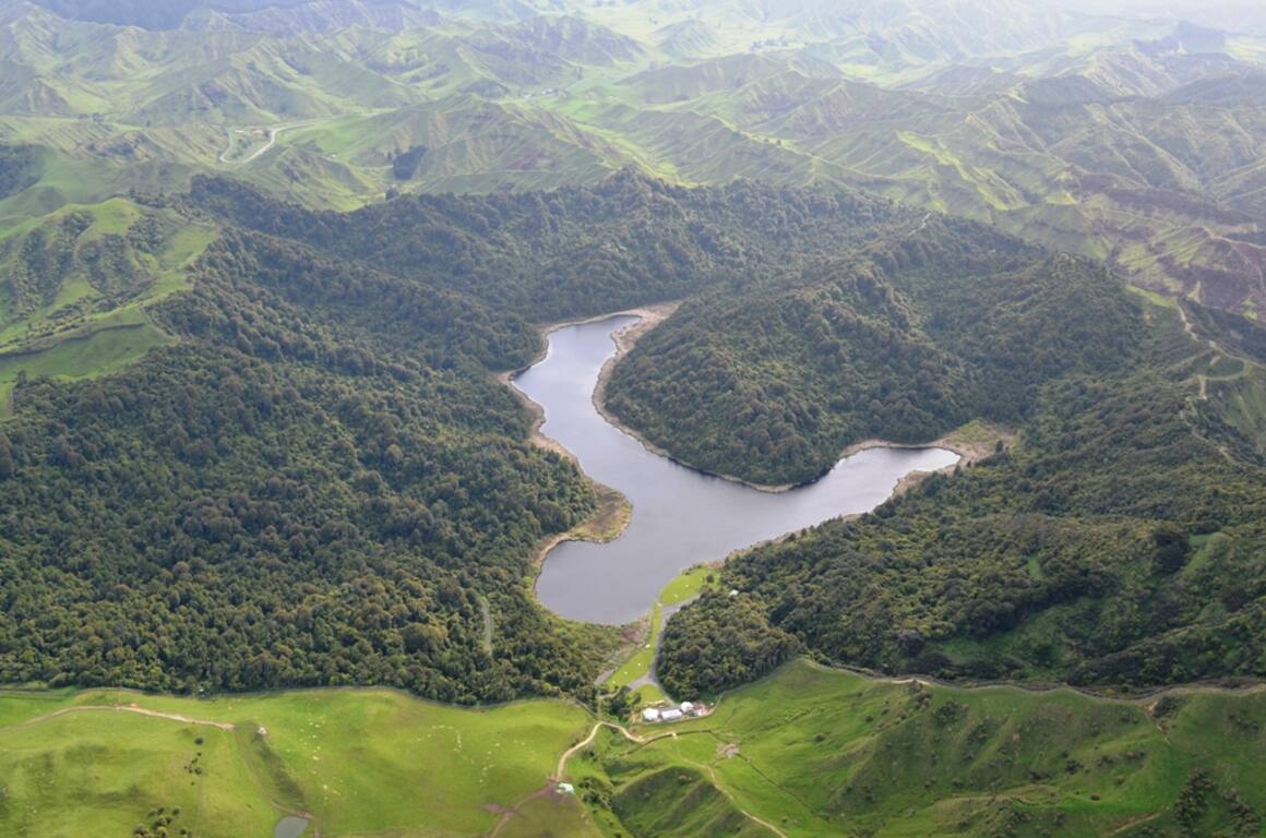 Wild for Taranaki - Rotokare Scenic Reserve Trust